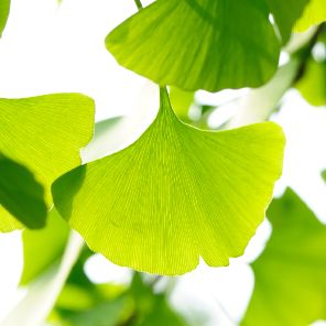 Produkt – adpharm.eu